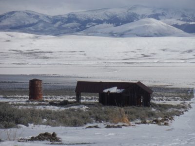 How Open Range Ranching Applies to Non-Ranchers - Countryside